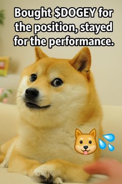 $DOGEY - DOGEY STYLE